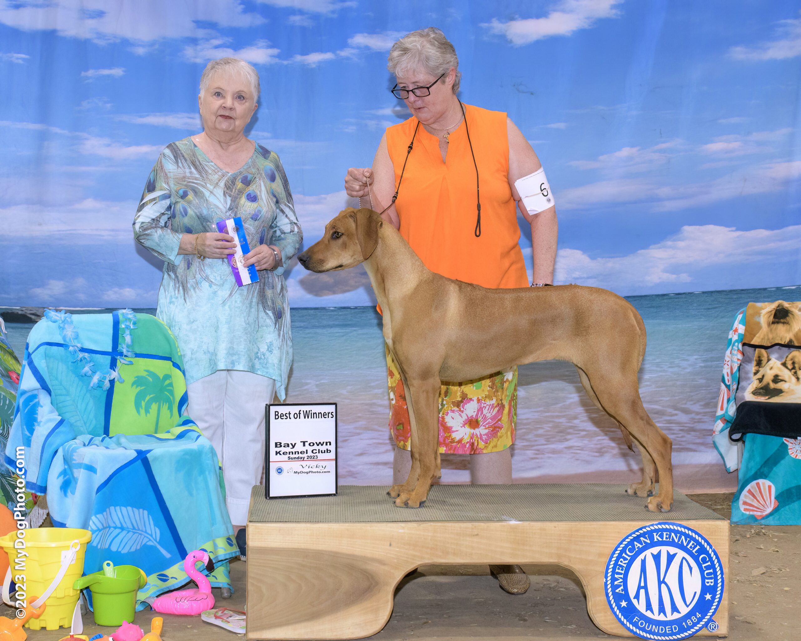 Show Brags – Mardi Gras Rhodesian Ridgebacks